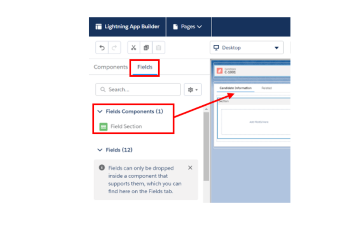 Complete Guide to the #1 Salesforce Feature: The Dynamic Forms - Areya