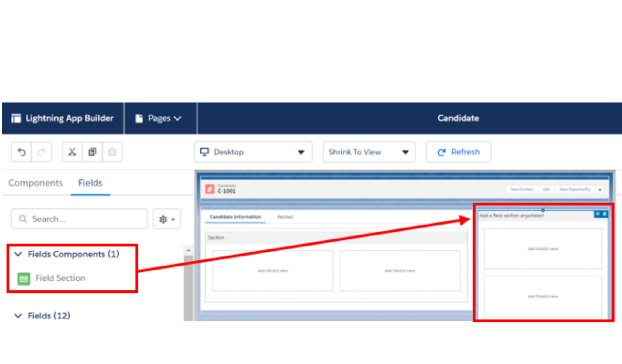 Complete Guide to the #1 Salesforce Feature: The Dynamic Forms - Areya